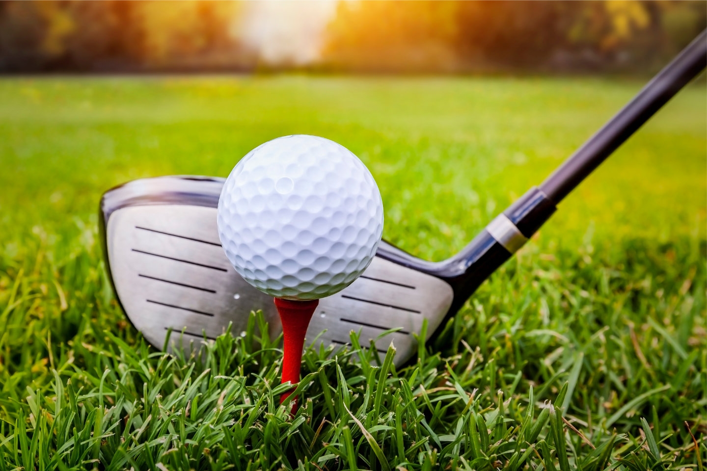 Veterans of Foreign Wars of Arizona